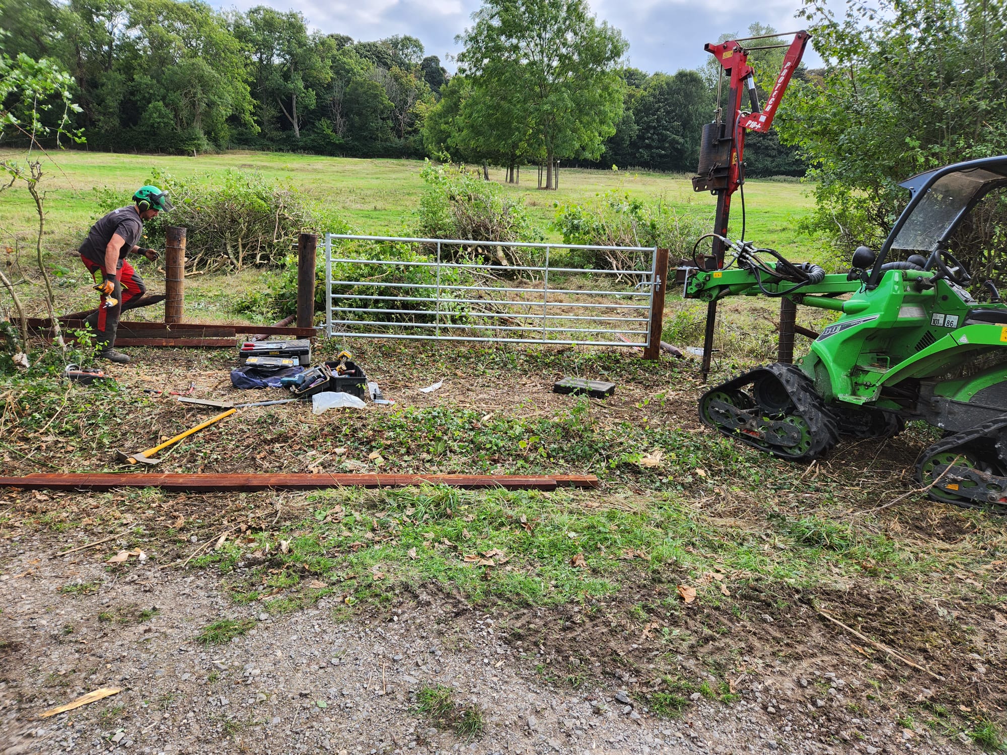 Home - Lloyd's Tree Services